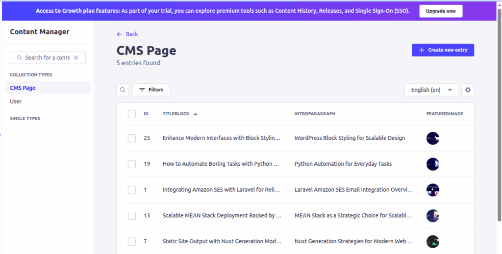 Strapi CMS in Vue.js for Fast, Scalable Websites